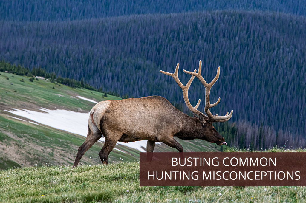 Busting Common Hunting Misconceptions - Soap Mesa Outfitters