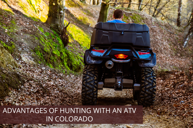 Advantages of Hunting with an ATV in Colorado - Soap Mesa Outfitters